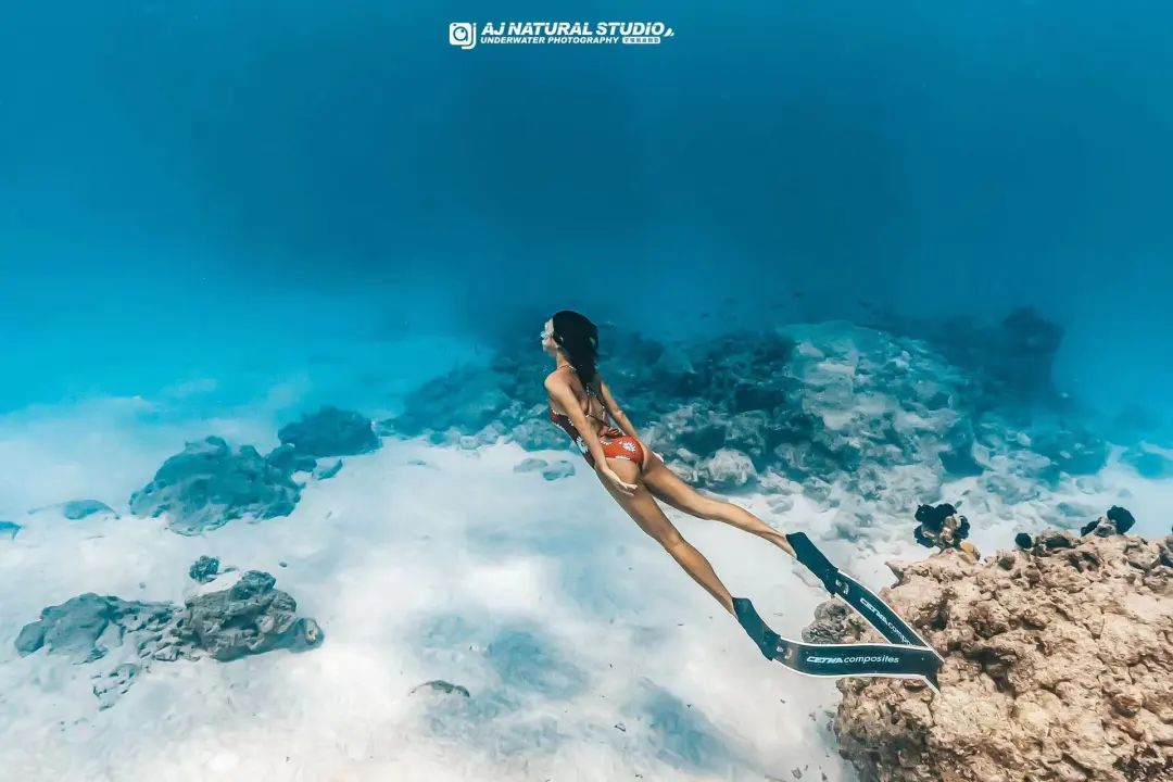 3个视频让你重新了解丨西沙群岛梦幻蔚蓝_AJ NATURAL STUDIO